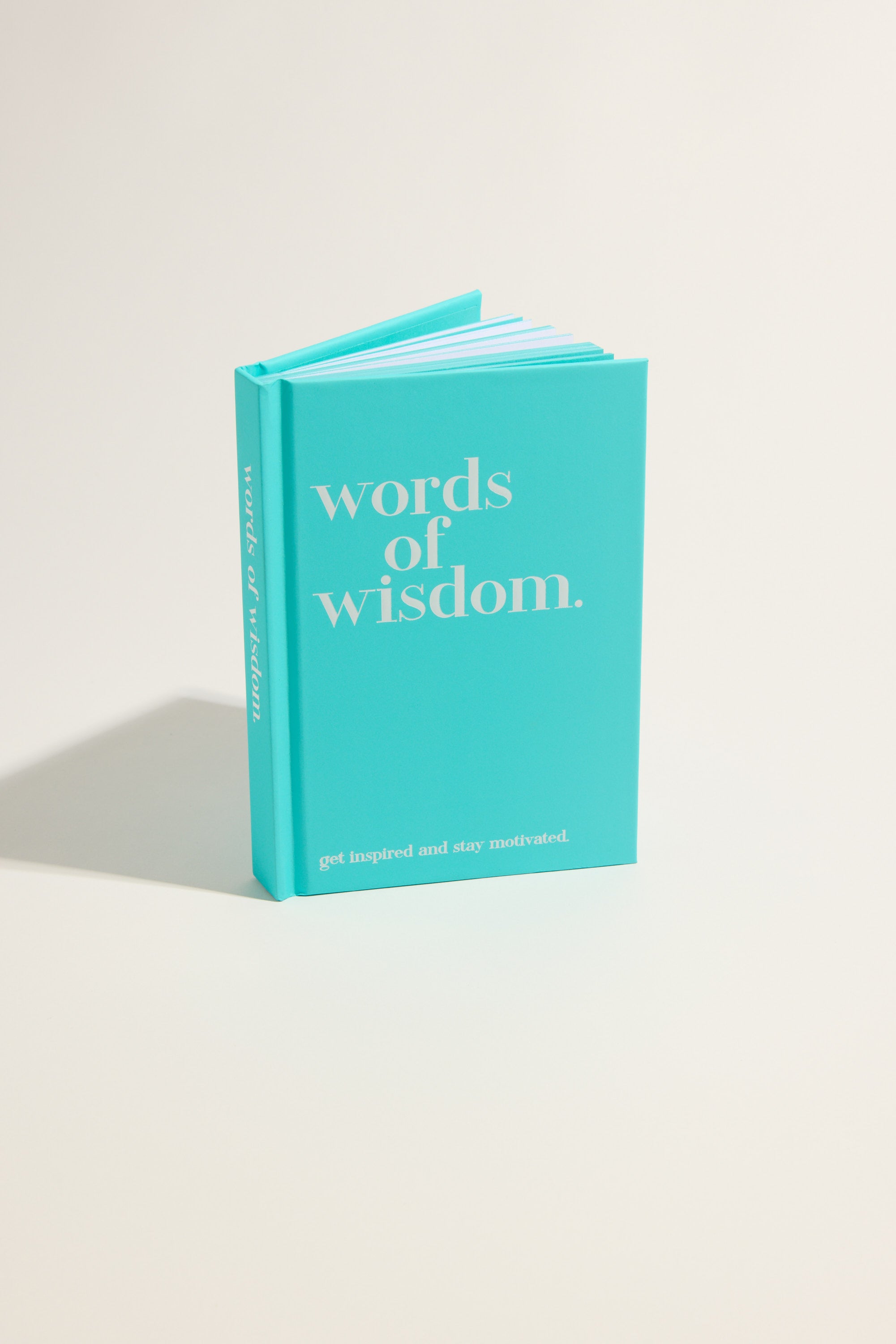 Shop Words of Wisdom (Turquoise) | Other – Max